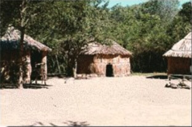 Taino Culture - Taino Woods Sanctuary